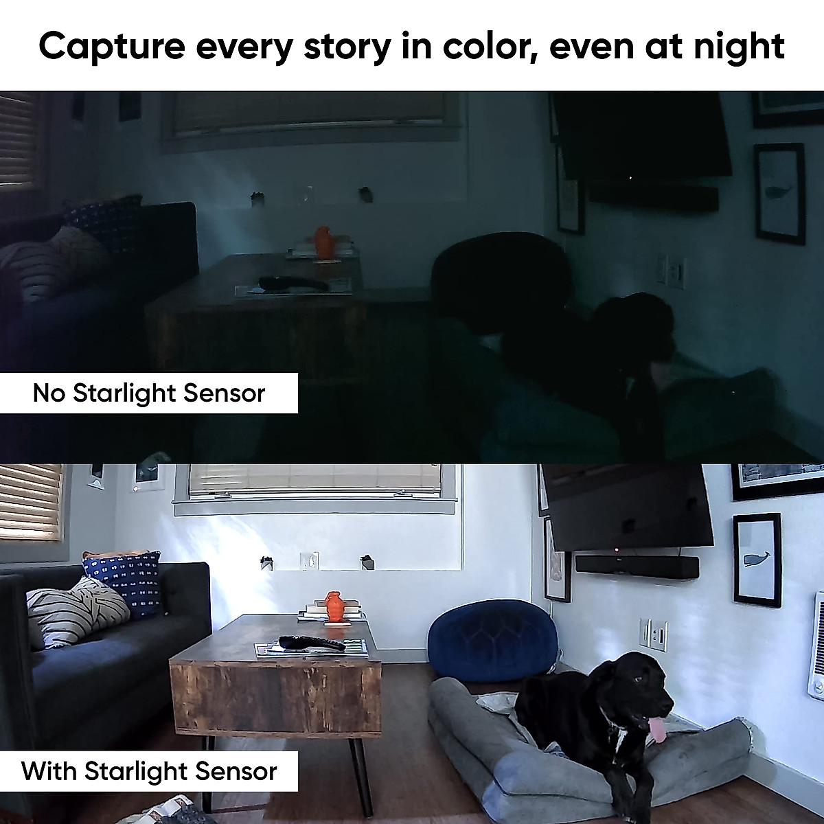 WYZE Cam Pan v2 1080p Pan/Tilt/Zoom Wi-Fi Indoor Smart Home Camera with Color Night Vision, 2-Way Audio, Compatible with Alexa & The Google Assistant 32GB MicroSDHC Card Class 10