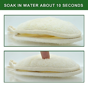 CROVIN Natural Loofah Exfoliating Body Scrubber, Made with Natural Shower Loofah Sponge for Men and Women’s SPA (Pack of 2)