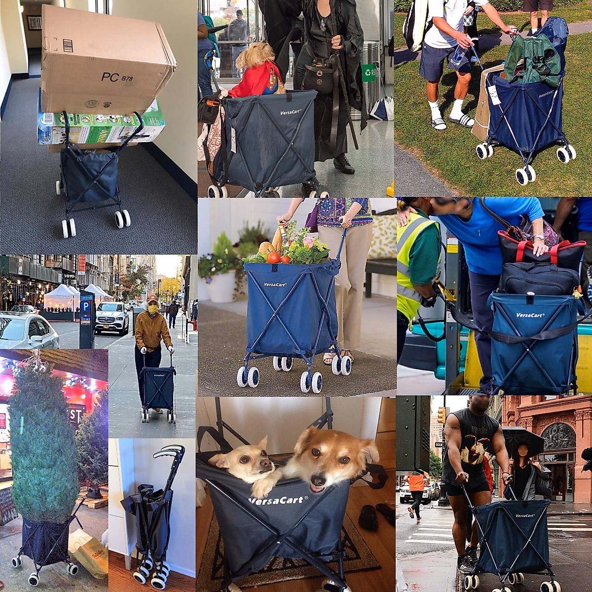 VersaCart Transit -The Original Patented Folding Shopping and Utility Cart, Water-Resistant Heavy-Duty Canvas with Cover, Double Front Swivel Wheels, Compact, Transport Up to 120 Pounds, Blue