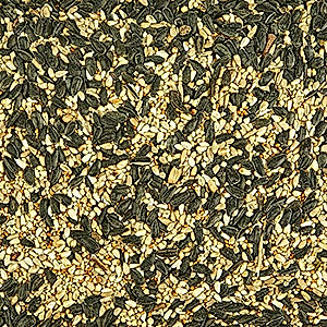 Kaytee Southern Regional Wild Bird Blend, 7-Pound Bag