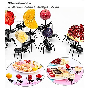 Ant Toothpicks Fruit Dessert Fork (24Pcs) – OOTSR Reusable Ant Food Pick Animal Appetizer Forks for Snack Cake Dessert with Storage Box for Kitchen Baby Shower Wedding Birthday Party
