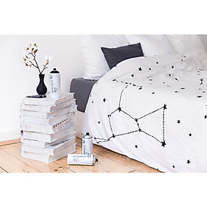 Montana Cans Montana Effect 400 ml Marble Color, White Spray Paint, 13.5 Fl Oz (Pack of 1)