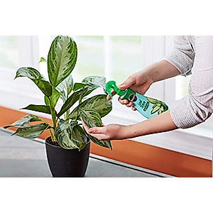 Scotts Leaf Shine, 8-Ounce (6 Pack)