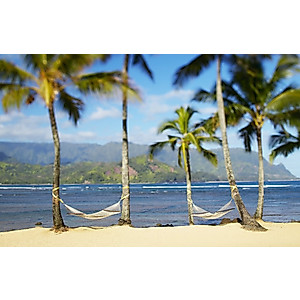 Posterazzi USA Hawaii Kauai Two hammocks hanging between palm trees on sandy tropical beach Hanalei Bay Princeville Poster Print, (17 x 11)