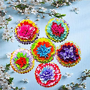 Cinco De Mayo Decorations Fiesta Tissue Pom Paper Flowers - Mexican Carnival Rainbow Theme Party Supplies 16" (Set of 12)