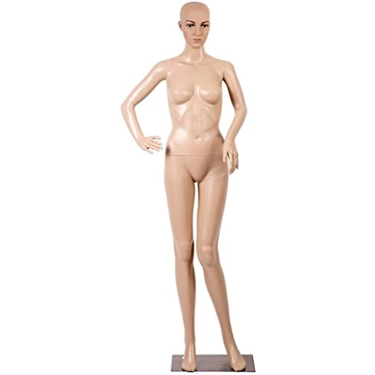 Mannequin Manikin Full Body Dress Form 69 Inches Female Mannequin Sewing Dress Model Mannequin Stand Adjustable Torso Dress Form Mannequin Realistic Display Mannequins Head Arm Rotation Metal Base