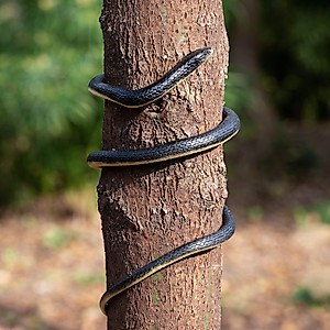 Brandon-super Realistic Rubber Black Snake 52 Inch Long Scare Toy