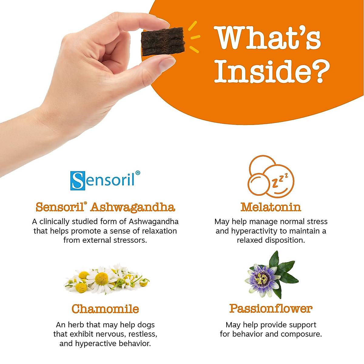 Zesty Paws Flavored Soft Chews - Calming for Dogs Anxiety Composure Relief with Ashwagandha Melatonin Chamomile Passionflower Dog Stress Separation Aid for Fireworks and Thunder 20 oz…