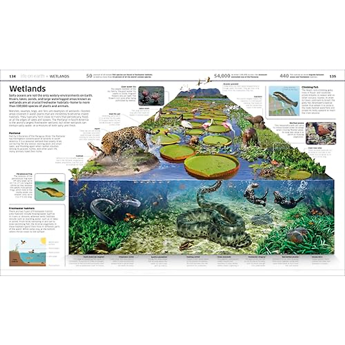 Knowledge Encyclopedia Planet Earth!: Our Exciting World As You've Never Seen It Before (DK Knowledge Encyclopedias)