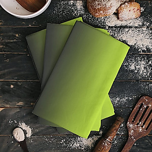 Kitchen Towels Set Gradient Color Dish Towel Darkening Gray Lime Green Dishcloths 4 Pack, 18x28 Inches Absorbent Soft Cotton Dish Cloths Bar Towels & Tea Towels