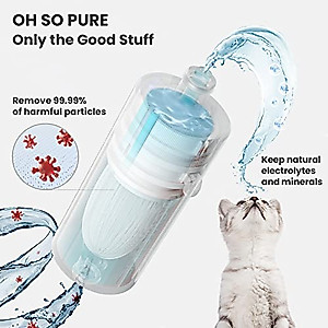 CAT CARE Cat Water Fountain - 84oz/2.5L Automatic Pet Water Fountains Bowl Dispenser for Cat Dog Drinking with Patented Filtration Tech, 3 Months Filter, Ultra Quiet, Removes Various Impurities