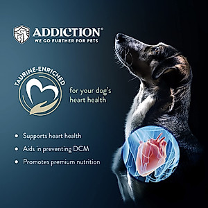 Addiction Outback Kangaroo Feast Raw Alternative Dog Food - Gently Air-Dried Complete Meal or Dog Food Topper for Digestive and Skin and Coat Health, 2 lb