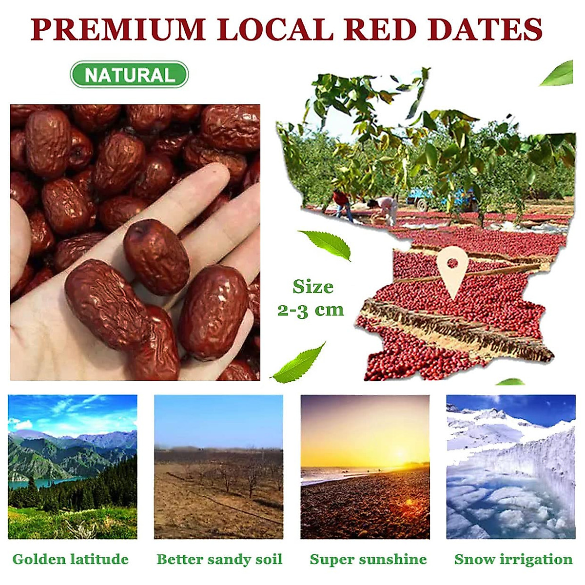 Red Dates No Pit Chinese Jujube Dates Seedless Dried Jujubees Pitted Fruit Tea Nature Sweet Magic 红枣 Healthy Snack - No sugar added & Juicy & Plump 400g