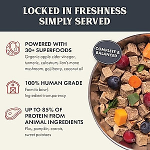 Health Extension Gently Air Dried Beef Dog Food, (2lb, 907 g) – Complete & Balanced with 85% Animal Protein and 30+ Superfoods for All Life Stages