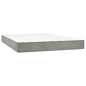 vidaXL Box Spring Bed with Mattress Home Bedroom Mattress Pad Double Bed Frame Base Foam Topper Furniture Light Gray 59.8"x79.9" Queen Velvet