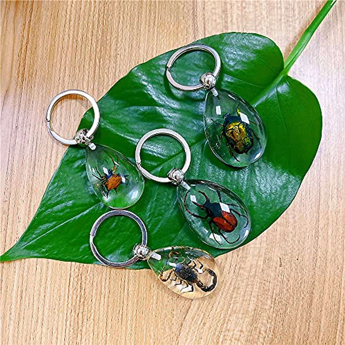 QTMY 6 Pack Insect in Resin Specimen Collection Paperweights Keychain,Christmas for Men Women Biology Science Teacher Education,Mystery Box (3)