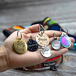 Personalized Dog Tag with 5 Lines of Custom Deep Engraved Durable Stainless Steel Pet ID Name Tag Designer Small Size Round