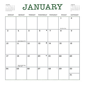 I Could Pee on This 2021 Wall Calendar: (Funny Cat Calendar, Monthly Calendar with Hilarious Kitty Pictures and Poems)