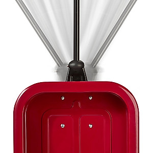 Radio Flyer Classic Red Wagon - 100th Anniversary Edition