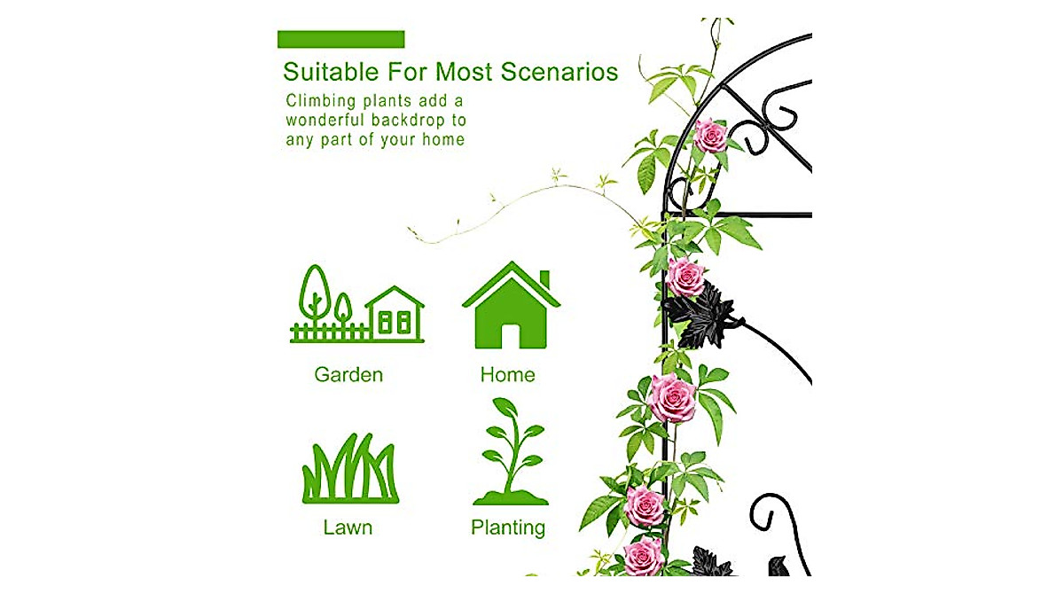 Sturdy Metal Garden Trellis for Climbing Plants