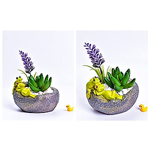 Novelty Cute Couple Frog Flowerpot with Drainer Garden Flowerpot Resin Succulent Potted Bonsai Plant Stand Home Desk Mini Ornaments Without Plants