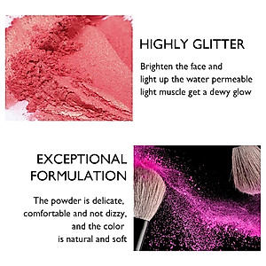 Highlighter Makeup, Highlight Powder Bronze, Bronzer Makeup Matte, iluminadores de maquillaje, Highlighter Palette White Shimmer Blush Bronzer Powder Palette Illuminators 5 Colors