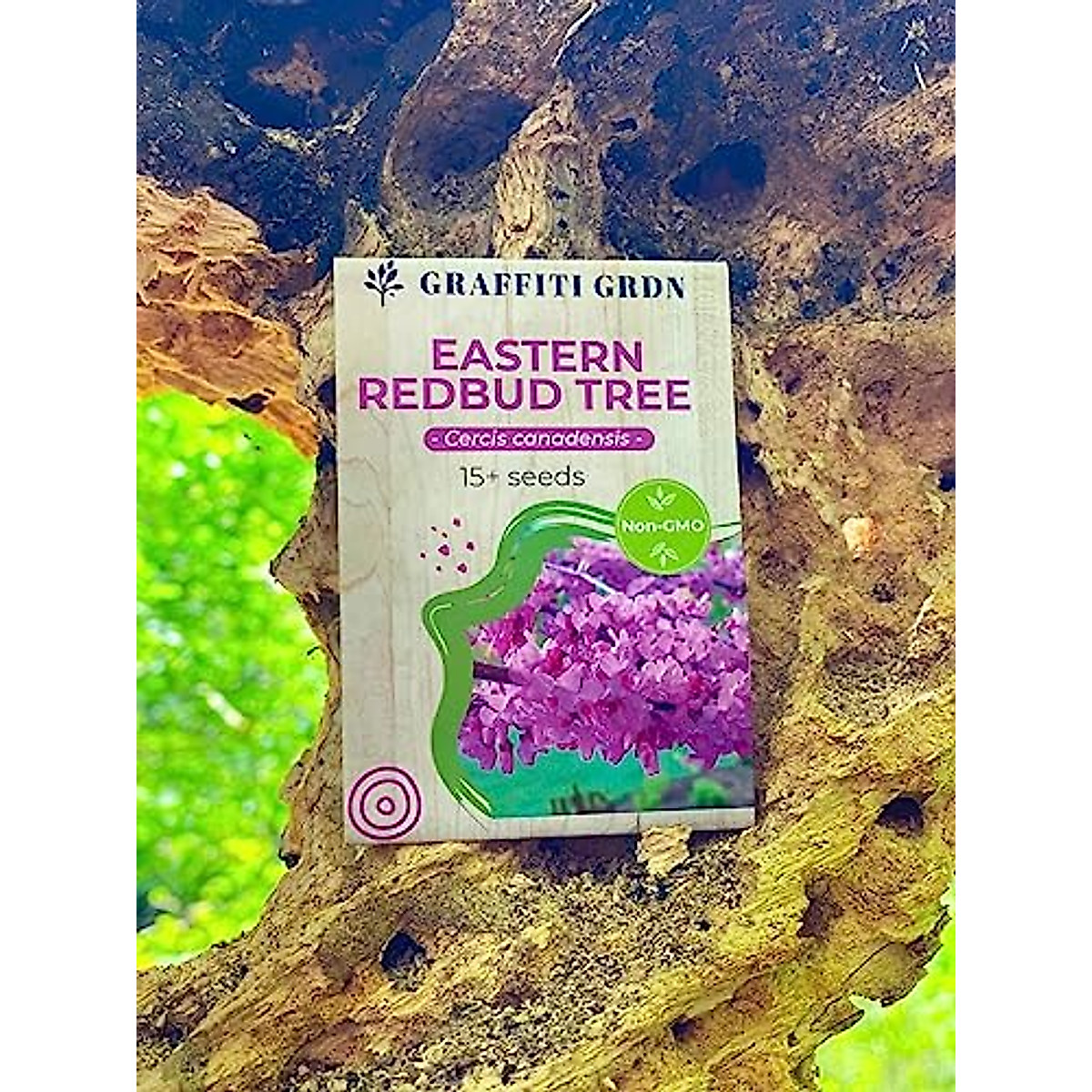 Eastern Redbud Tree Sakura Bonsai American Redbud Cercis Canadensis 15 Seeds Garden Seeds for Planting