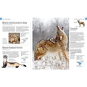 Wildlife of the World