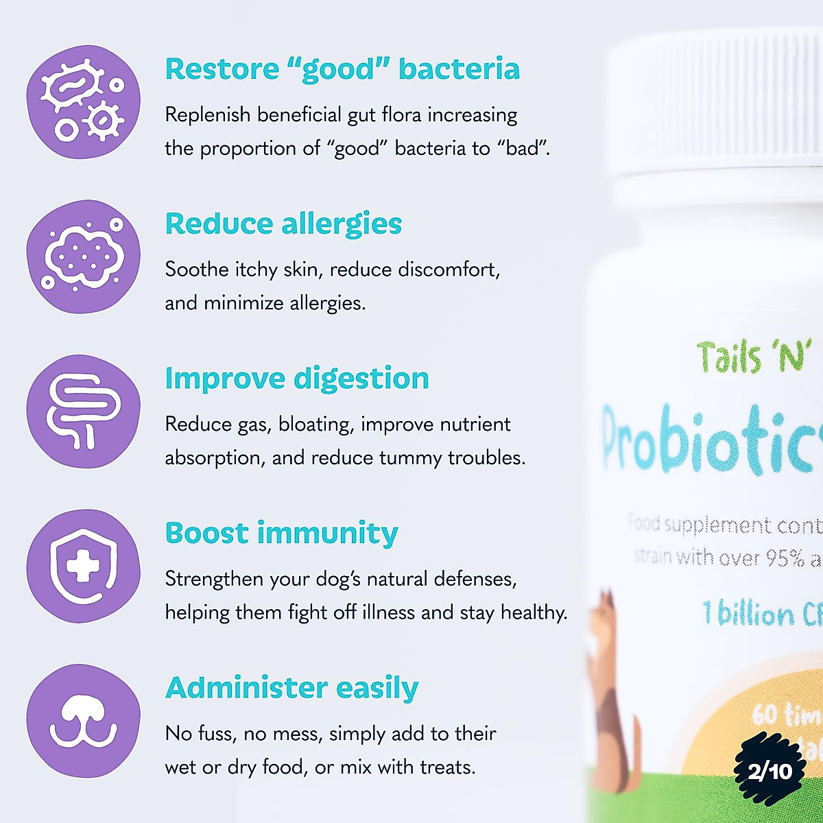 Minimal Ingredient Dog Probiotic to Alleviate Allergies, Infections, ‘n’ Digestive Issues