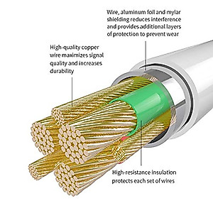 CNANKCU iPhone Charger Double USB MFi Certified Cable (6/6FT) with 2 Port Wall Charger Adapters (4-Pack) Fast Charging Block Power Plug Compatible with iPhone 11/Pro/Xs Max/X/8 and More-White