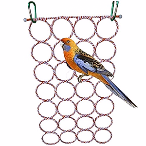Keersi Cotton Rope Ladder Hammock Toy for Bird Parrot Parakeet Cockatiel Conure Cockatoo African Grey Macaw Eclectus Amazon Lovebird Finch Canary Budgie Cage Perch Stand Swing Hamster Rat Tunnel