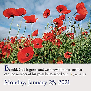 365 Bible Verses-A-Year Page-A-Day Calendar 2021