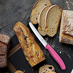 Victorinox Swiss Classic Round Tipped Stainless Steel Utility Knife with Pink Fibrox Handle, 4.5 Inch