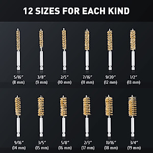 Orion Motor Tech 38pc Wire Brush Set, Bore Brush for Drill with 1/4 Inch Hex Shank and Long Extension Bars, 8-19mm Dia Round Wire Brush Kit, 0.31-0.75 Inch Stainless Steel Brass Nylon Cleaning Brushes