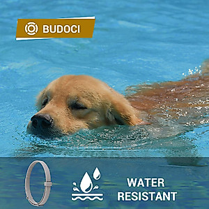 BUDOCI Flea Collar for Dogs,Flea and Tick Collar for Dogs,4 Pack Natural Flea & Tick Prevention for Dog, 24 Inch Collar for Large Small Dogs