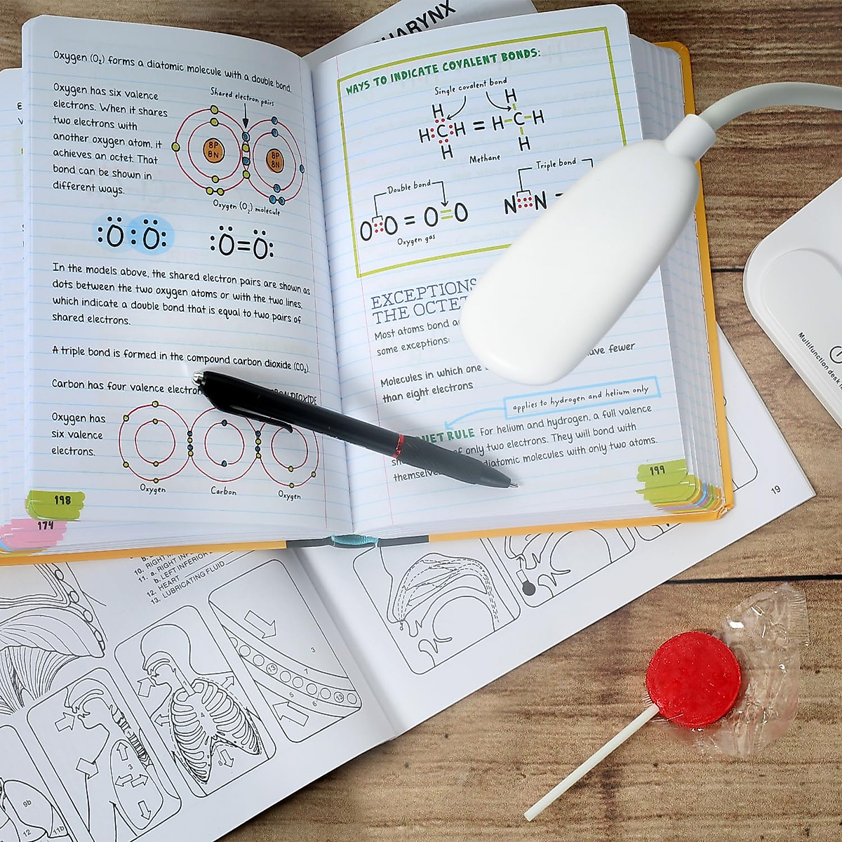 Lollipops Individually Wrapped - 5 Pounds - Classic Flat Lollipops for Kids - Round Lolly Pops - Assorted Fruit Flavors Lolipops - Lollipop Candy Suckers - Bulk Summer Camp Lollipops - Church Candies