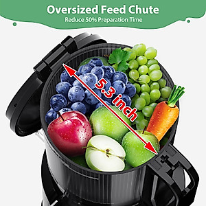 Aeitto Juicer Machines, Cold Press Juicer with 5.3" Wide Mouth, 250W Whole Fruit Juicer, Easy to Clean, 1.7L Large Capacity Masticating Juicer for Vegetable and Fruit, High Juice Yield, Black