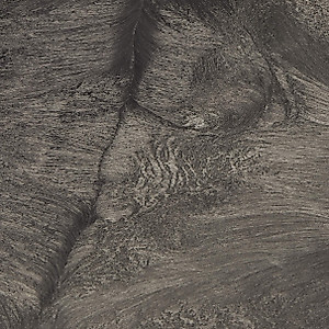 Rubbermaid Commercial Products 2-Shelf Utility/Service Cart, Small, Lipped Shelves, Storage Handle, 500 lbs. Capacity, for Warehouse/Garage/Cleaning/Manufacturing (FG450089BLA)