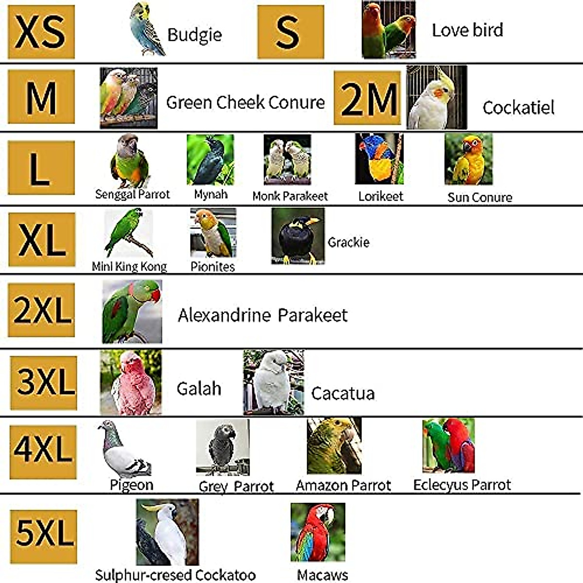 FORZENA Bird Clothes Birds Flight Suit,Tuxedo Business Suit for Parrots African Greys Parakeet Cockatiel Sun Conure Christmas Party Birthday Cosplay Photo Prop Small Animals Apparel (M,Grid Suit)