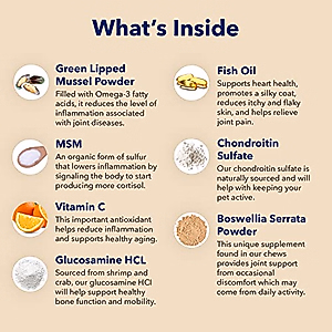 Honest Paws Mobility Hip and Joint Supplement for Dogs - Enhance Bone Health Lubricate Joints - Green Lipped Mussel, Glucosamine, Fish Oil, Chondroitin Sulfate, MSM, Vitamin C with Natural Flavors