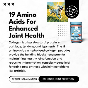 Nature's Diet Premium Beef Collagen Peptides Powder for Dogs & Cats, Joint & Skin Health Support