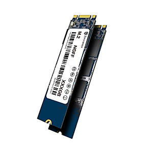 Zintronics SATA III 6Gb/s 256GB M.2 NGFF SSD Solid State Drive (256GB, 22 * 80MM)