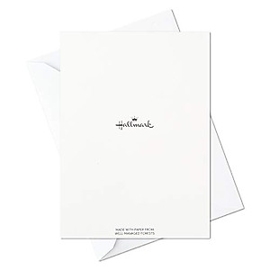 Hallmark Birthday Cards Assortment, Make A Wish (48 Cards with Envelopes) (5STZ5122)