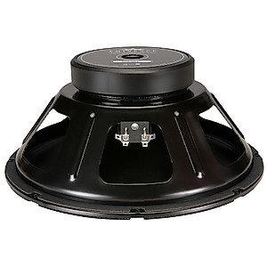 American Standard Beta-12A 12" Pro Audio Speaker, 250 Watts at 8 Ohms