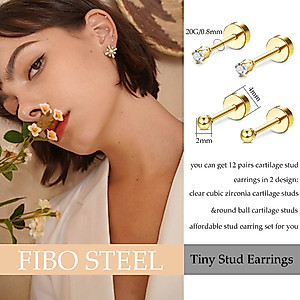 FIBO STEEL 12 Pairs 20G Cartilage Earrings Stud for Women Men Stainless Steel Tiny 2mm & 3-8mm Studs CZ Round Ball Flatback Earring Set (2mm, Gold-tone)