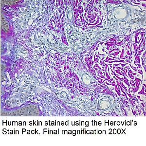 Herovici's Stain Pack, 1000ml