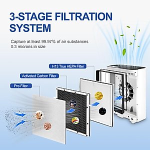 YEEREAD 2 Pack True HEPA Replacement Filter Compatible for LEVOIT Vital 100 Air Purifier, Vital 100-RF Replacement Filter - H13 HEPA & High-Efficiency Activated Carbon, Part Number 100-RF