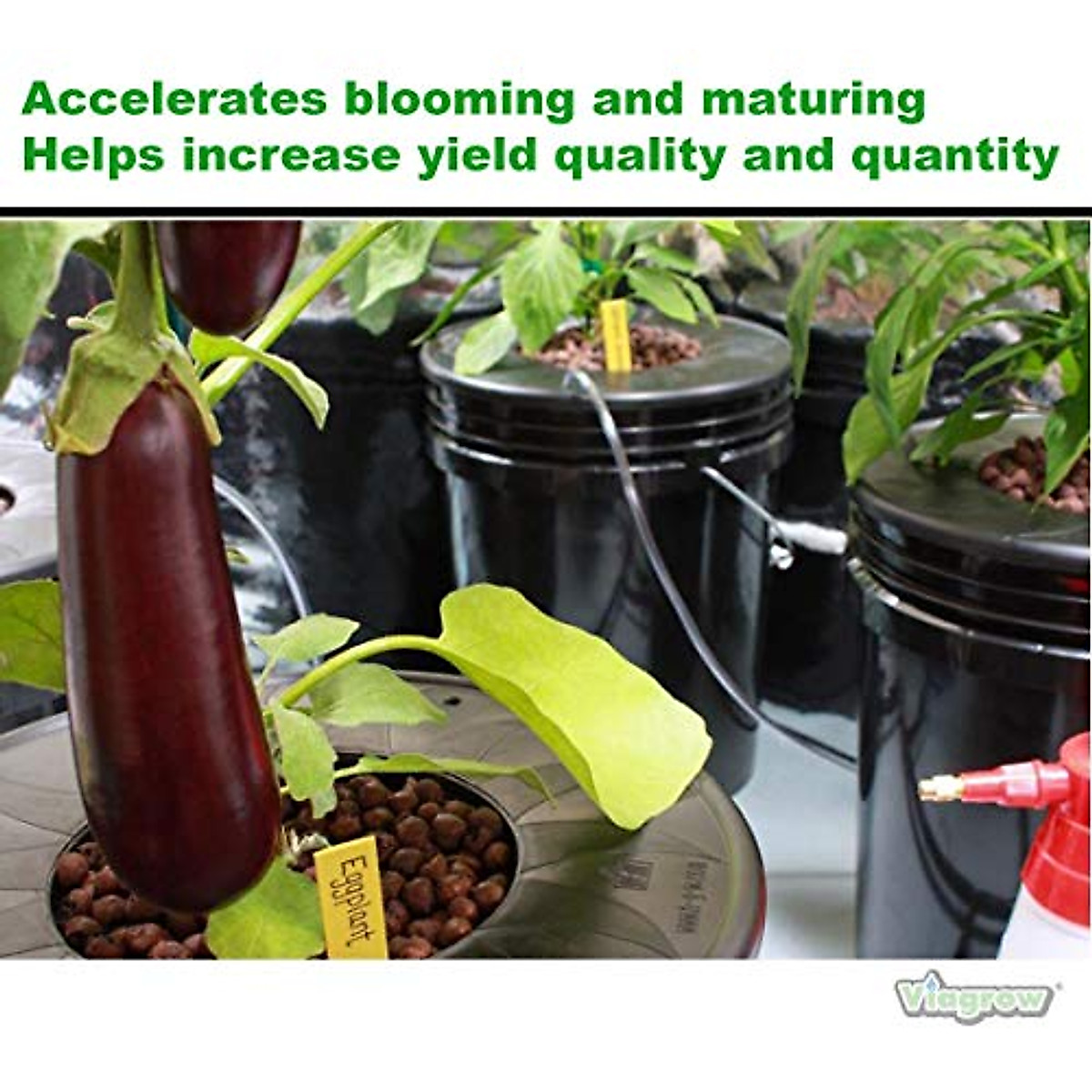 Viagrow VS10 Viastone Expanded Clay Pebbles, 10-Liter Rocks, Premium Growing