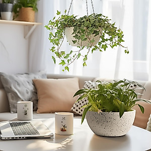 T4U 10 Inch Hanging Planters for Indoor Outdoor Plants - 2 Pack Plastic Hanging Flower Plant Pot with Drainage Hole, Round Hanging Plant Basket for Home Garden Porch Balcony Patio Decor (White)