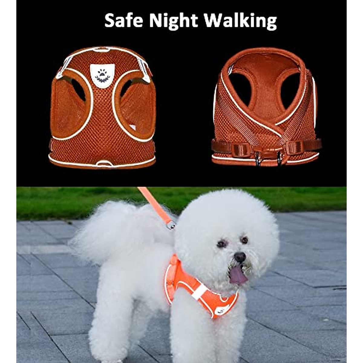 Dog Harness and Leash Set for Walking, Escape Proof Vest Harness with Soft Mesh, Adjustable Velcro, Reflective Strips for Kitten Cats and Puppy Dogs
